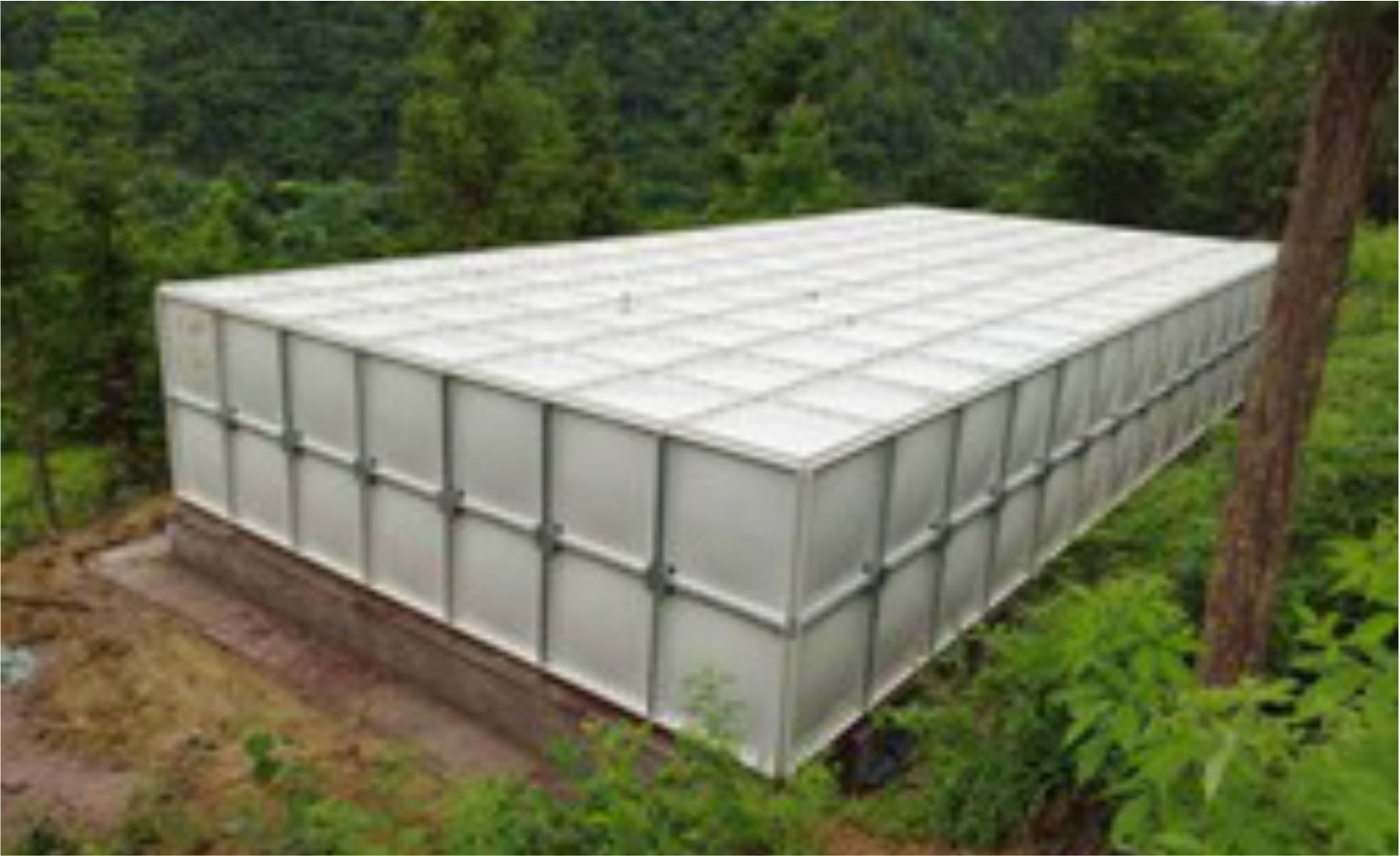 Products – ICM Cambodia